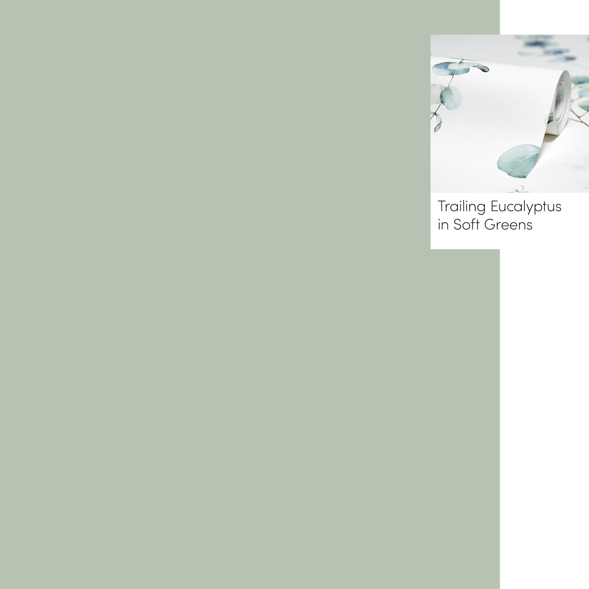 Natural Sage Matt Emulsion Paint - 2.5L – I Love Wallpaper