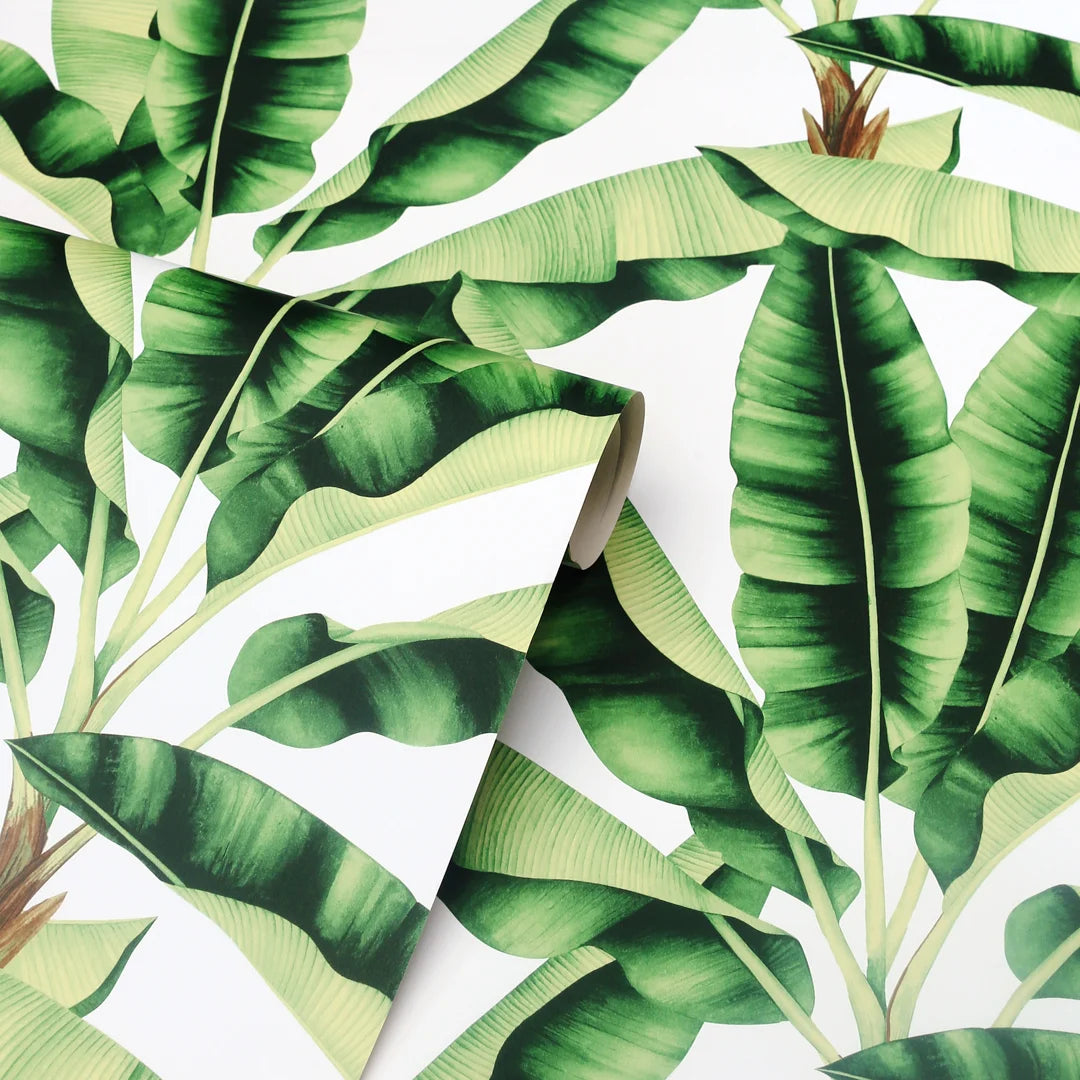 Musa Wallpaper in Green – I Love Wallpaper