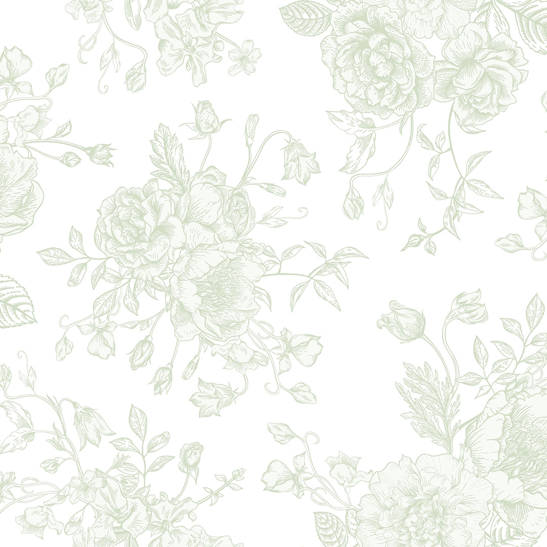 Sample of Romantic Roses Wallpaper in Soft Sage on White – I Love Wallpaper
